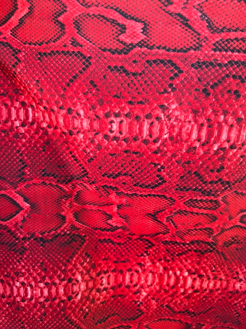 Cobra-snake Design Exotic Animal Print on Great Quality of - Etsy