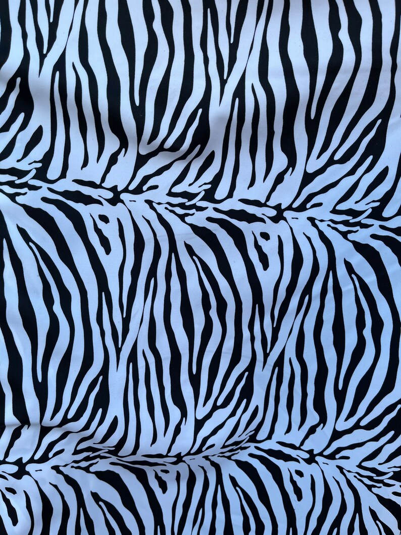 New Exotic Zebra Design Medium Size Print on Best Quality of | Etsy