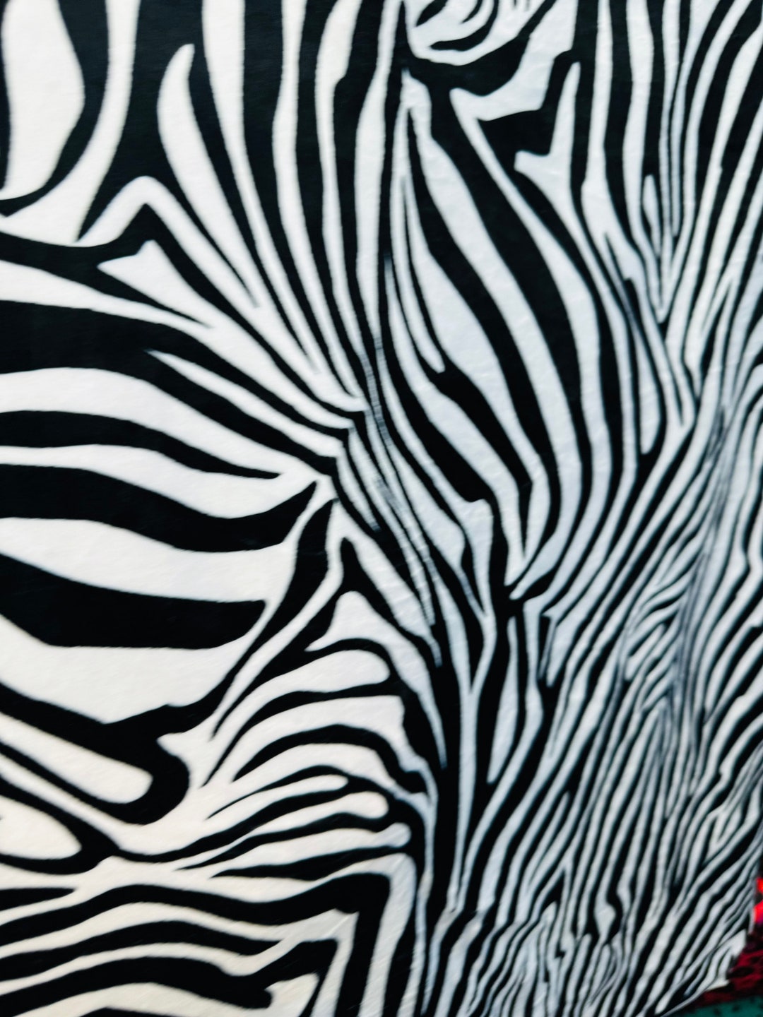 Exotic Zebra Design Print on Best Quality of Stretch Velvet 4-way ...