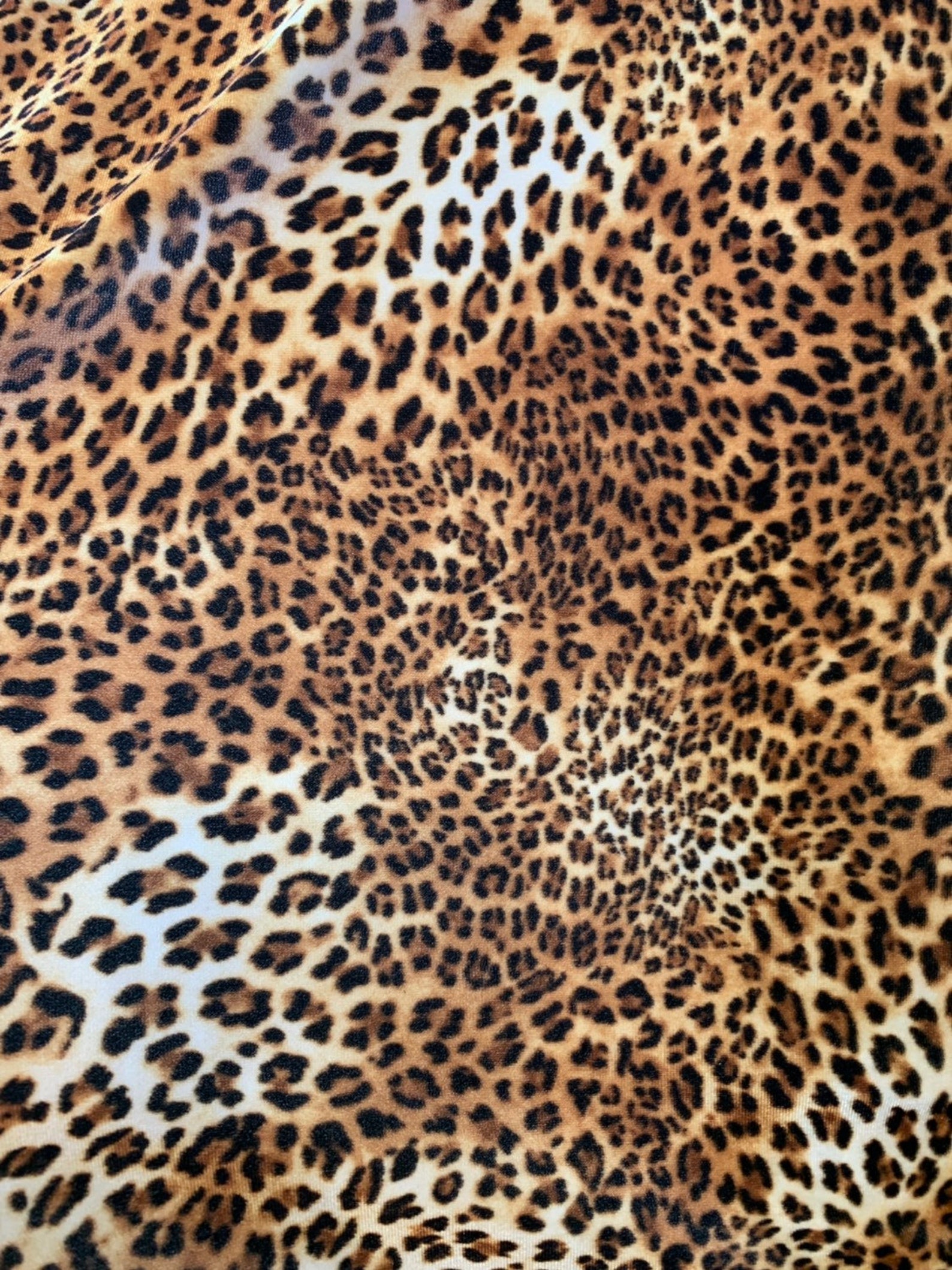 Leopard Design Print on Good Quality Stretch Velvet 4way 58/60" Sold by ...