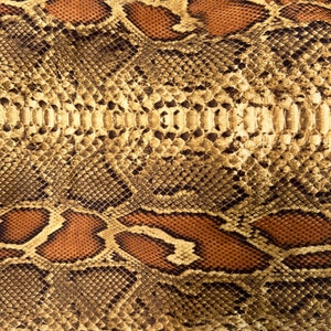 Cobra-snake Design Exotic Animal Print on Great Quality of Nylon ...