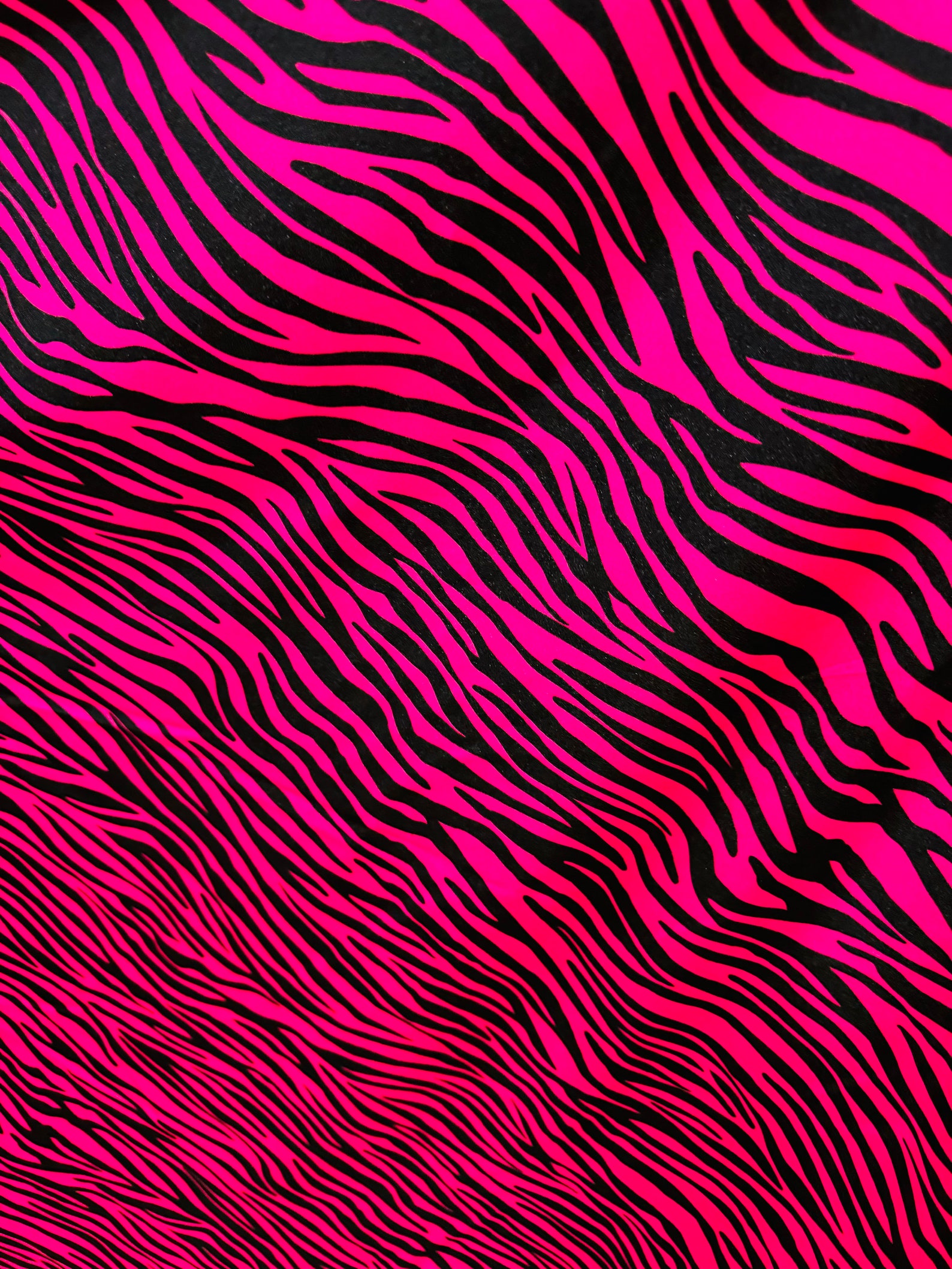 Exotic Zebra Design Fuchsia/black Print on Best Quality Shiny Nylon ...