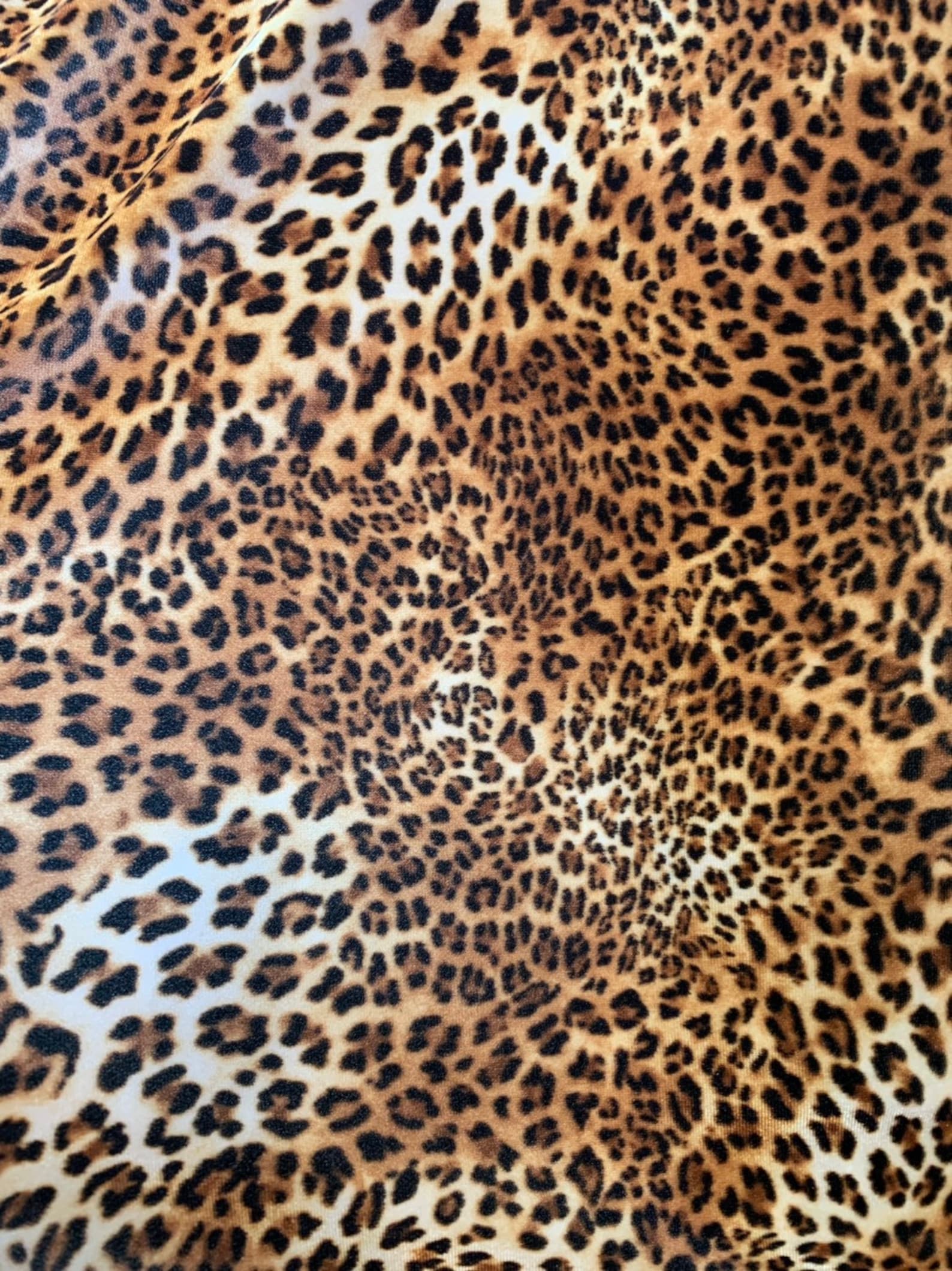 Leopard Design Print on Good Quality Stretch Velvet 4way 58/60" Sold by ...