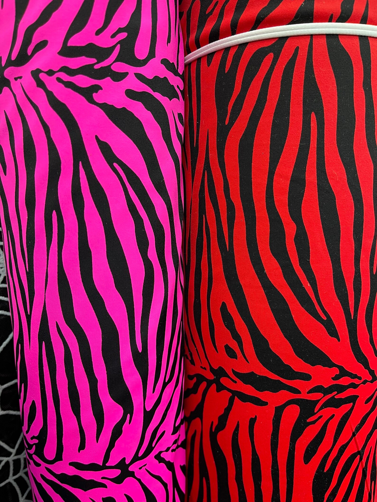 New Exotic Zebra Design Medium Size Print on Best Quality of | Etsy