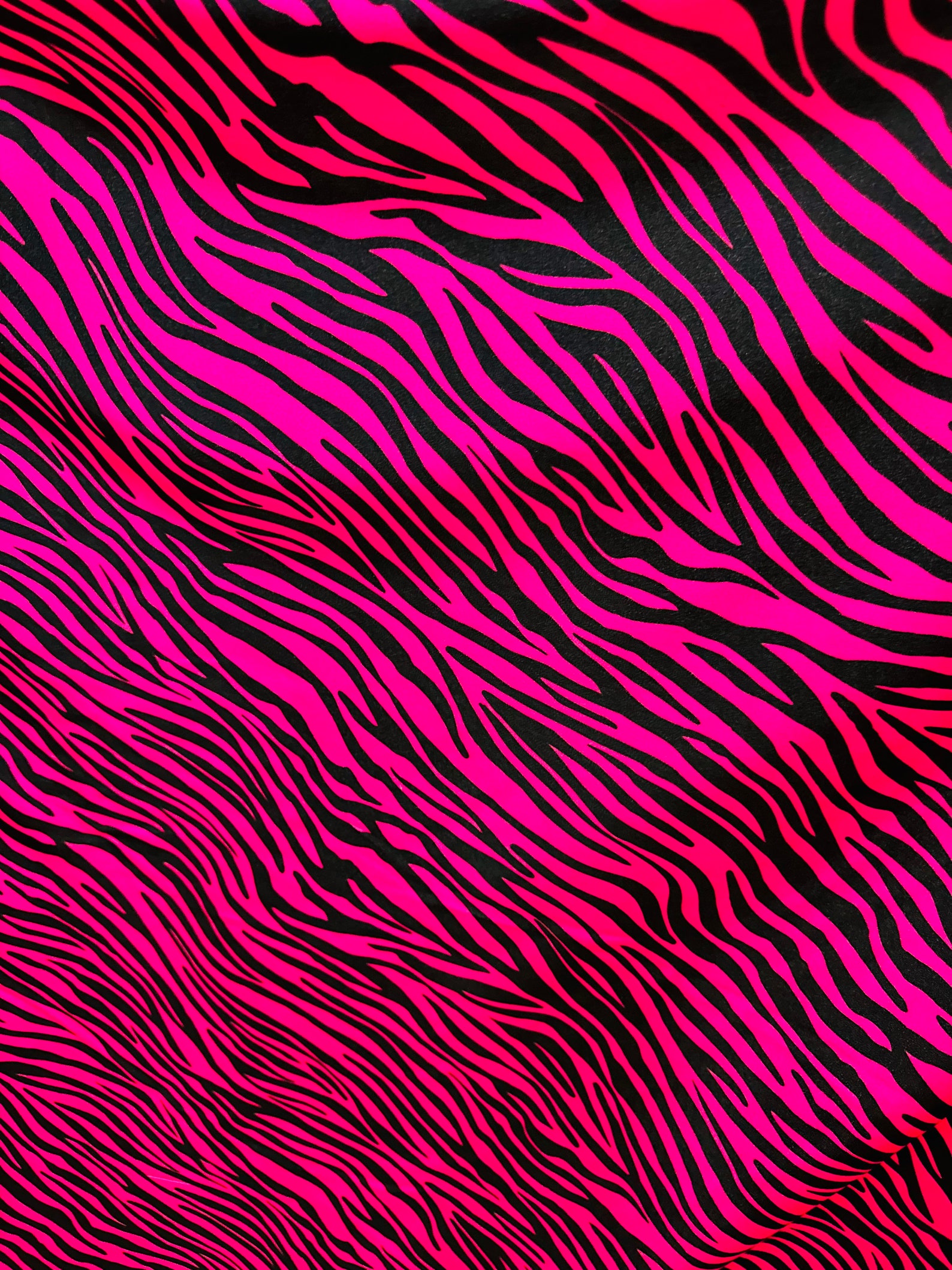 Exotic Zebra Design Fuchsia/black Print on Best Quality Shiny Nylon ...
