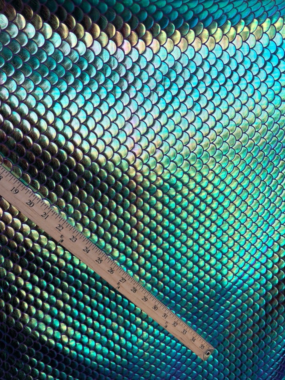 Fish Scales Amazon.com: Fish Scales Scraping Tool, 2024 New Stainless