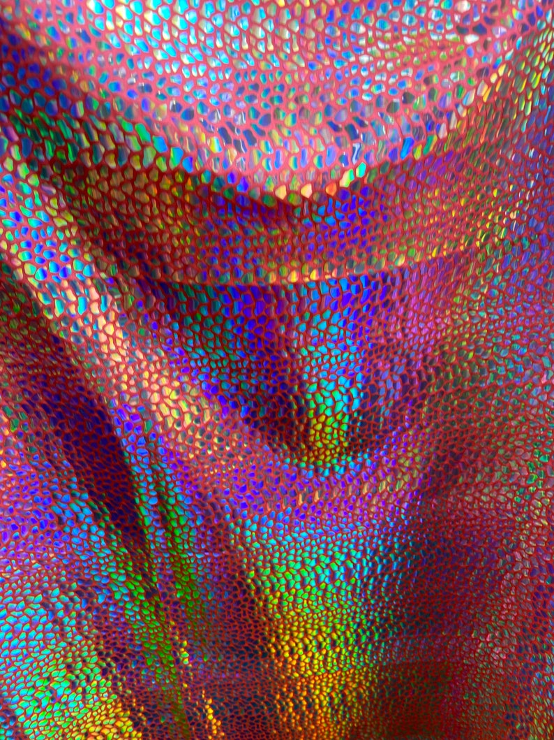 New Stone Design Iridescent Sequins Coral Rainbow on Nylon - Etsy