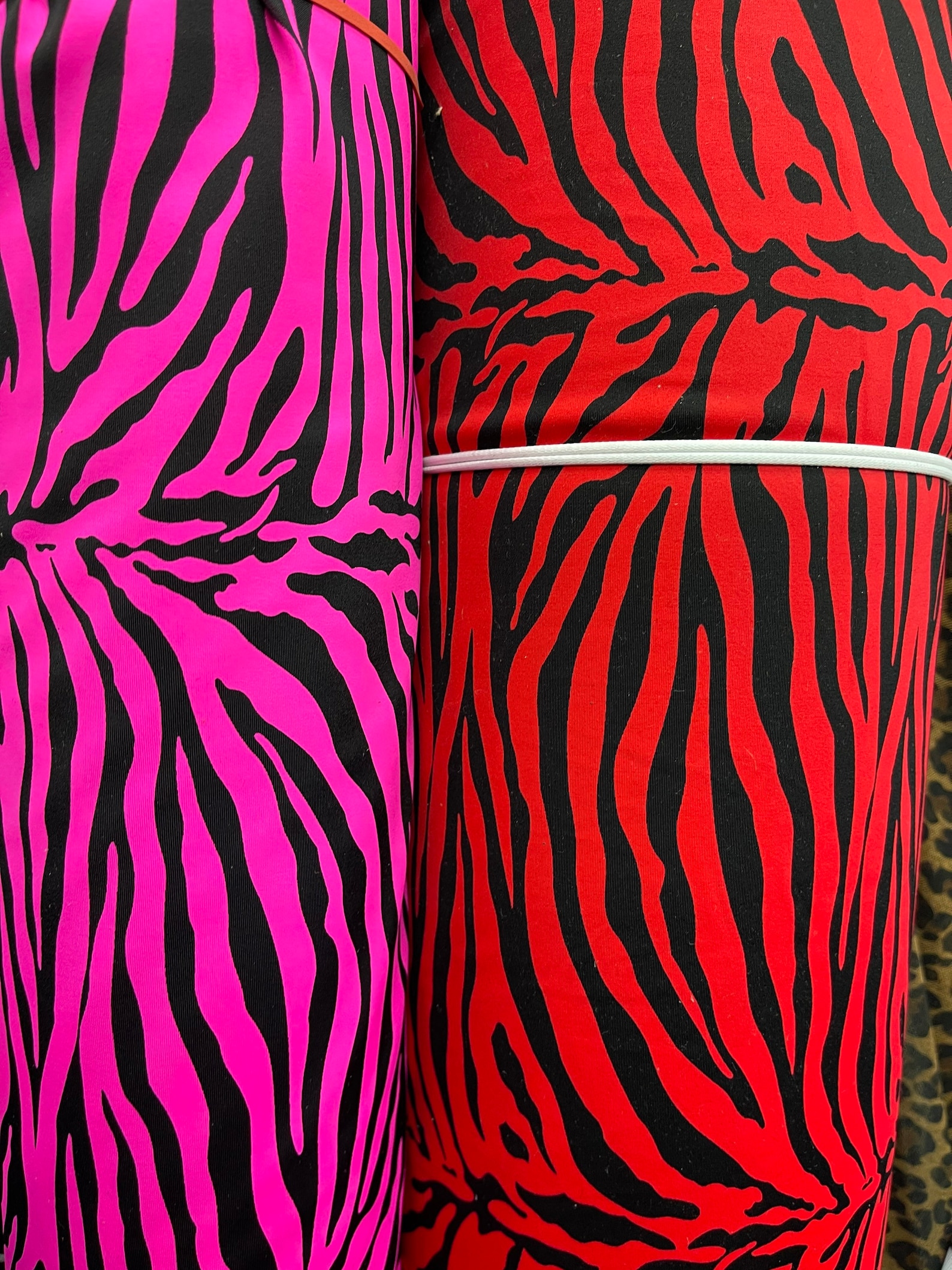 New Exotic Zebra Design Medium Size Print on Best Quality of - Etsy