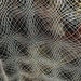 New Spiderweb Design on Metallic Poly Spandex With Glitter 4-way ...