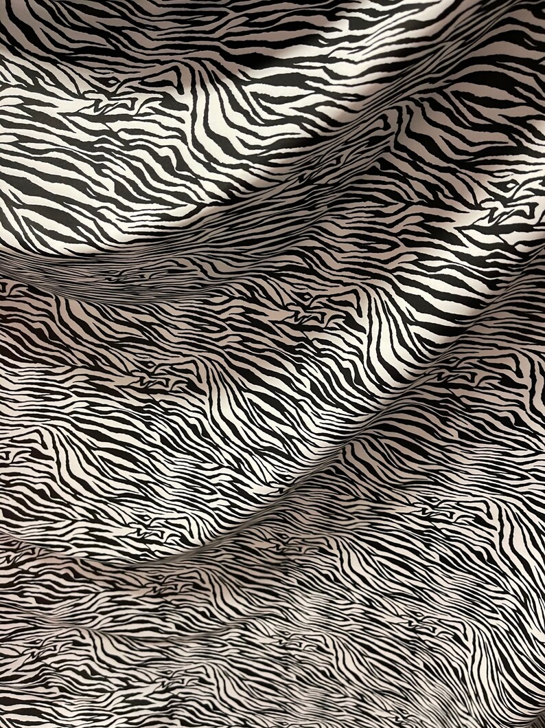 New Exotic Zebra Design Medium Size Print on Best Quality of - Etsy