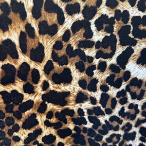 Cheetah Exotic Design Print on Good Quality Stretch Velvet 4way 58/60 ...