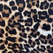 Cheetah Exotic Design Print on Good Quality Stretch Velvet 4way 58/60 ...