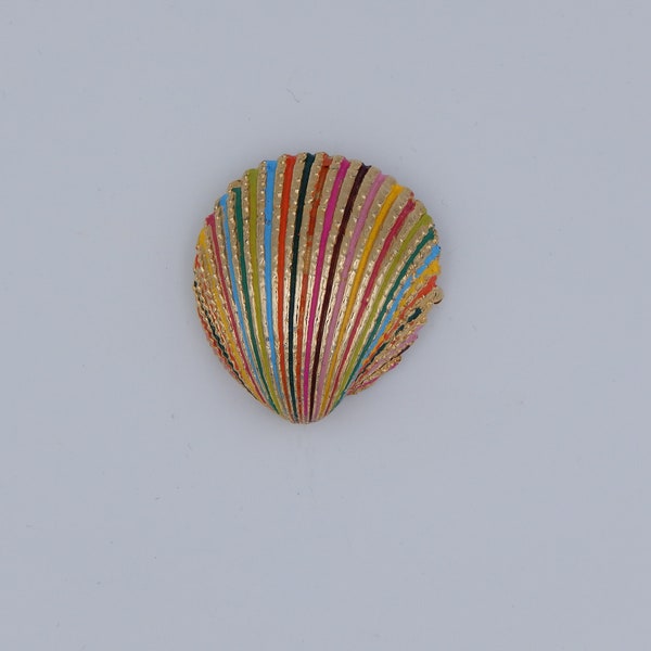 Seashell Pin - Etsy