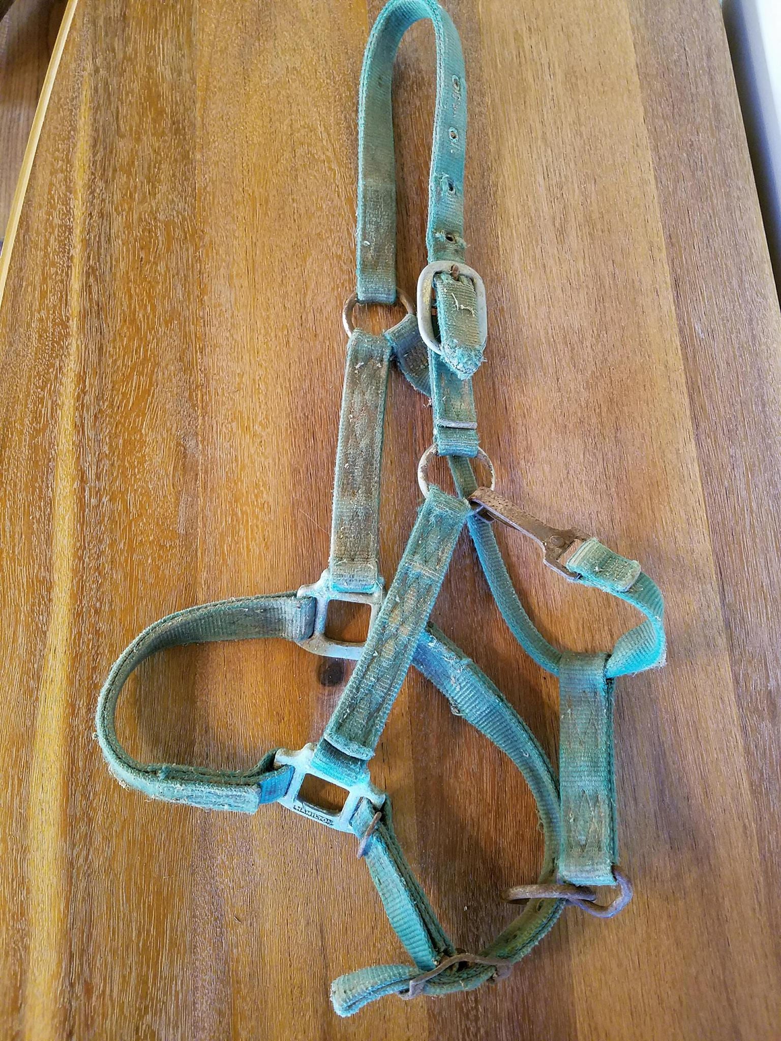 Horse Halter Decor, Used, Western, Western, Rustic, Farm, Tack, Used ...