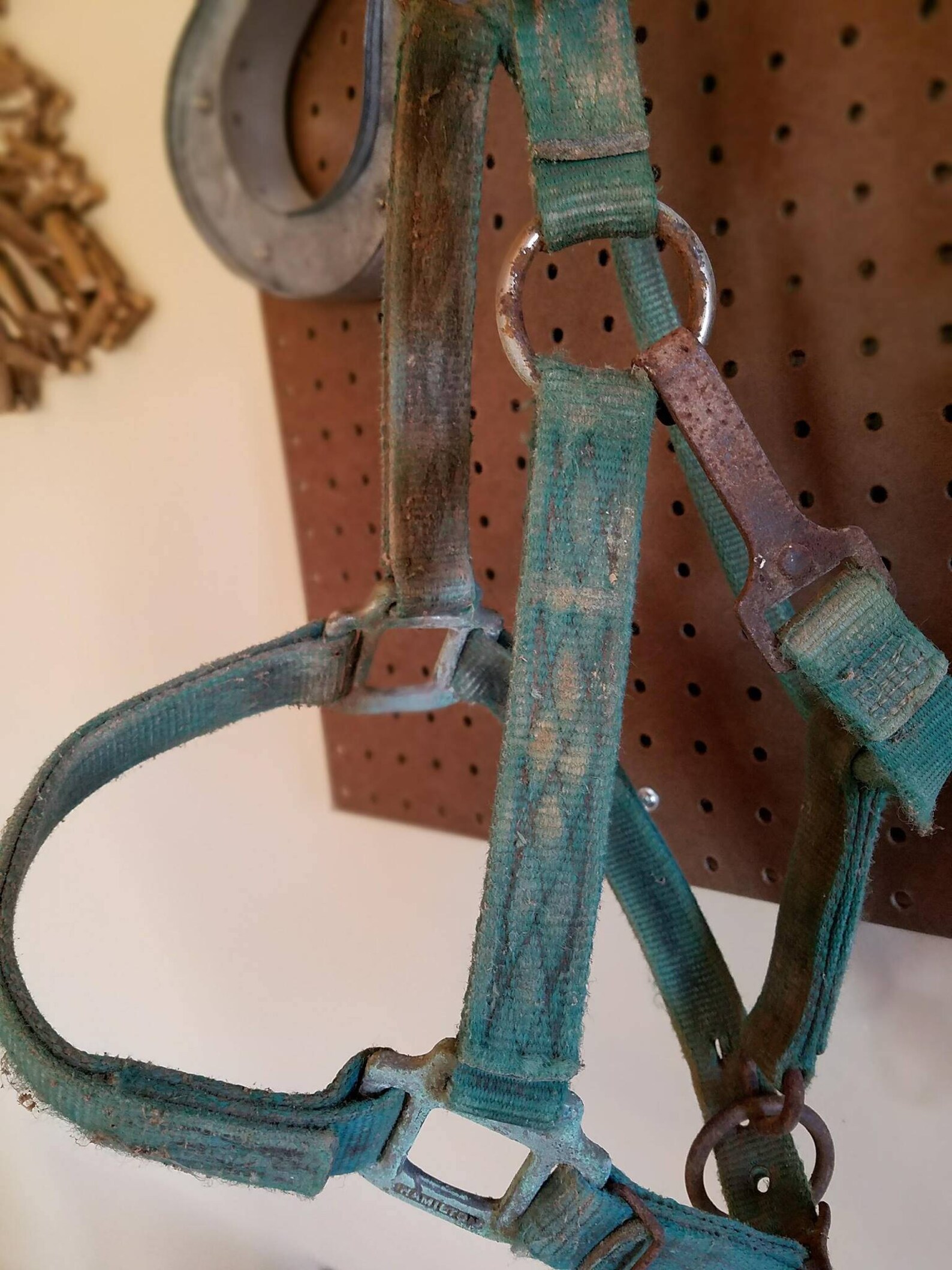 Cheval licol Decor, utilisé, western, western, rustique, ferme, tack ...