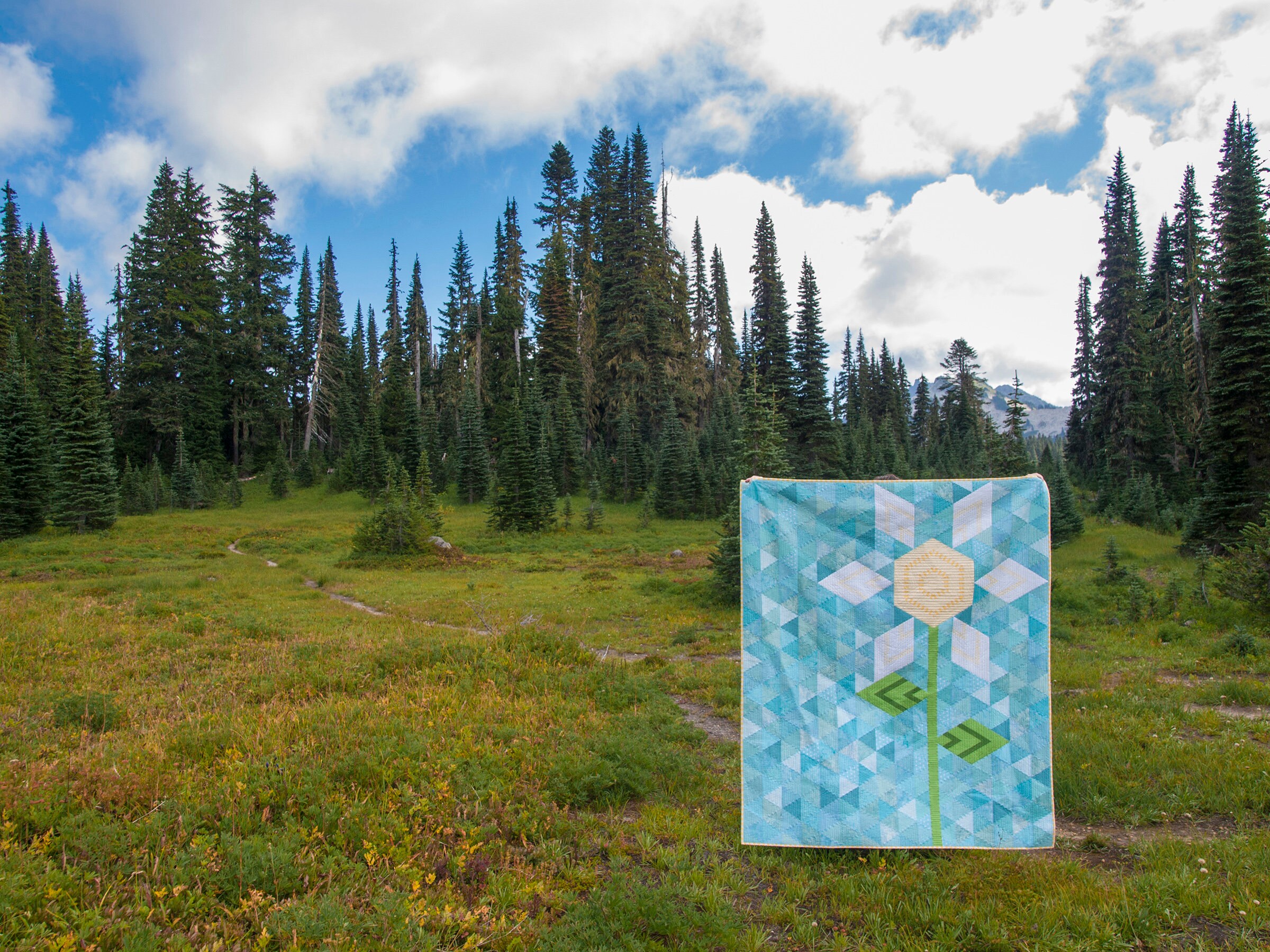 Big Sky Bloom Krista Moser Patterns Modern Quilt Pattern - Etsy