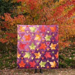 Fall Foliage, Krista Moser Modern Quilt Pattern, Uses 60 Degree Diamond ...