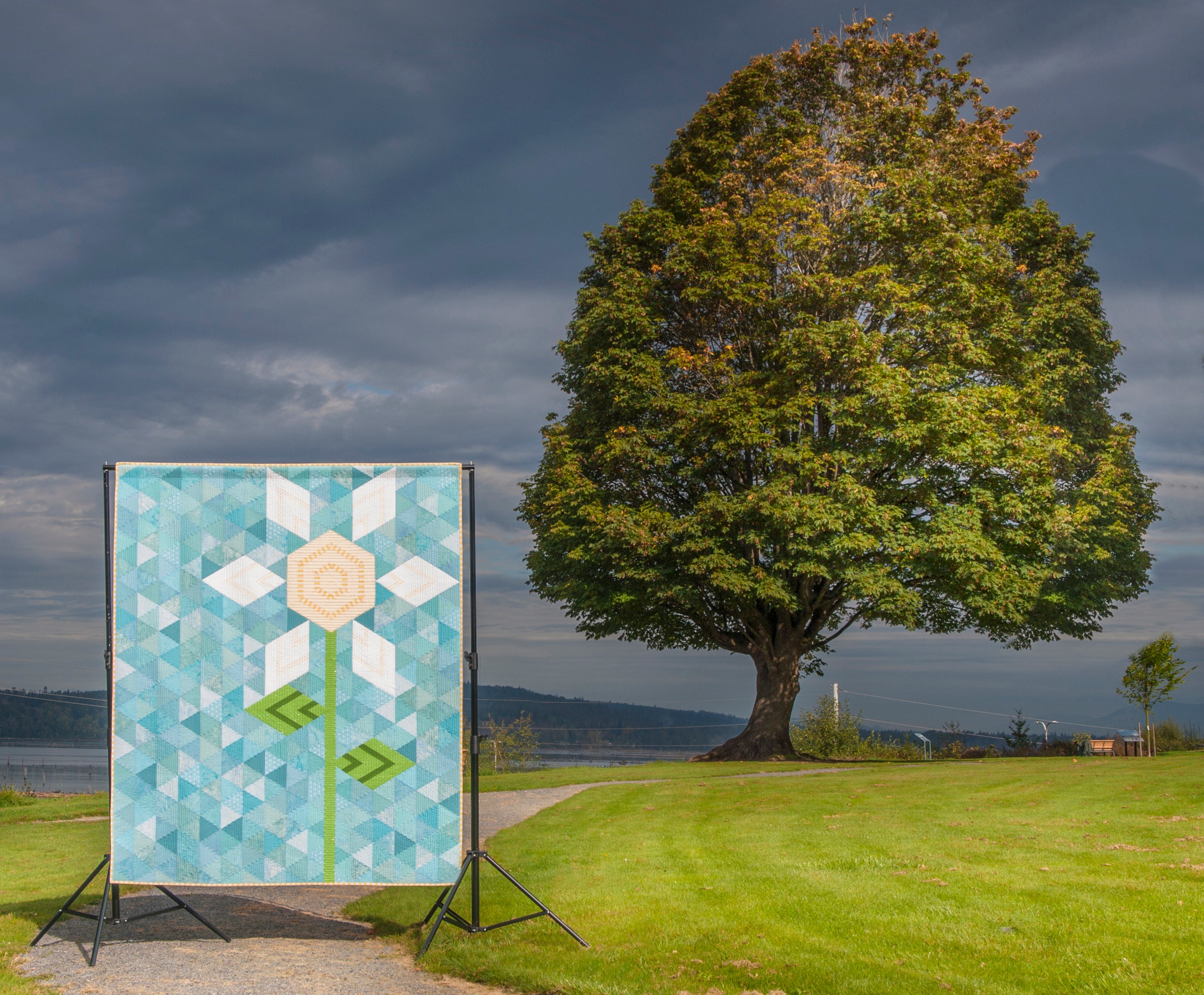 Big Sky Bloom, Krista Moser Patterns, Modern Quilt Pattern, Daisy ...
