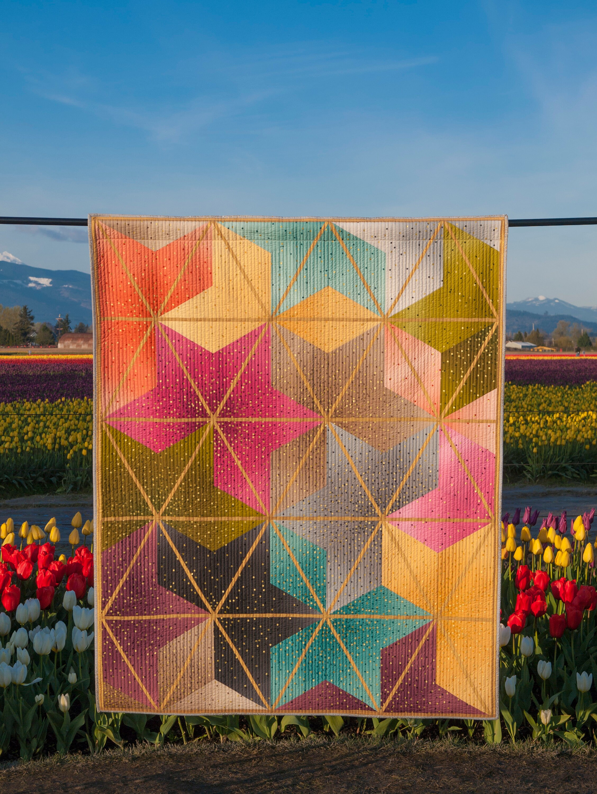 Ombre Blossoms, Krista Moser Patterns, Ombre Quilt Pattern, Large 60 ...