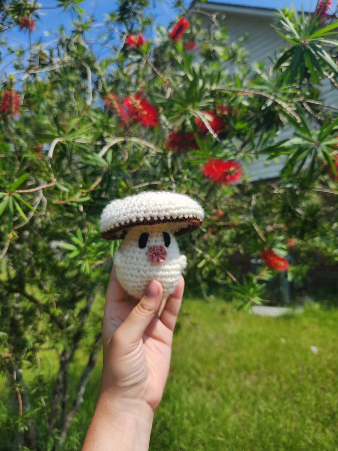 Foongus Plushie, Pokemon Plush, Pokemon Crochet, Crochet Plush, Pokemon ...