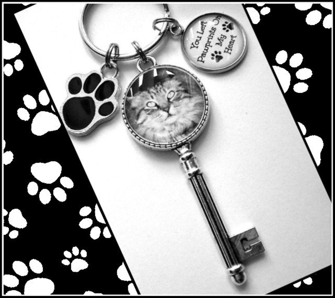 Skeleton Key Cat Photo Memorial Keychain You Left Pawprints on | Etsy