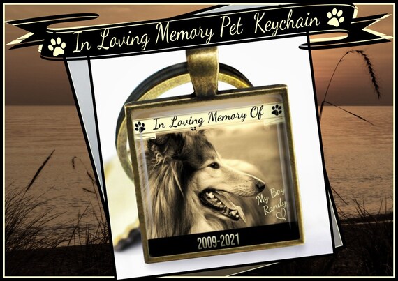 Personalized Pet Photo Memorial in Loving Memory Dog/cat With | Etsy