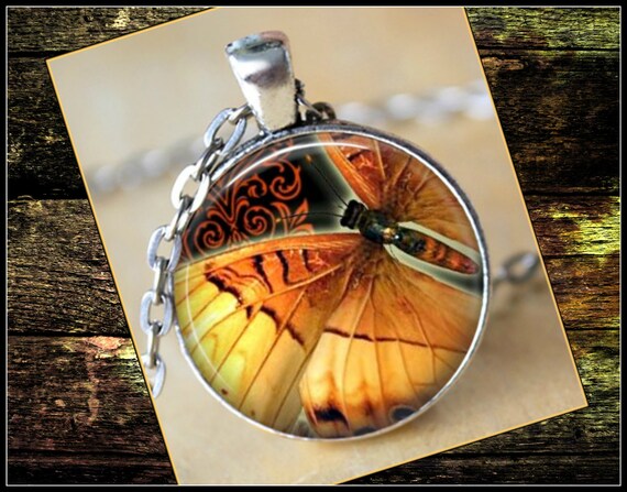 Beautiful Fall Monarch Butterfly Wing Photo Art Image Round - Etsy