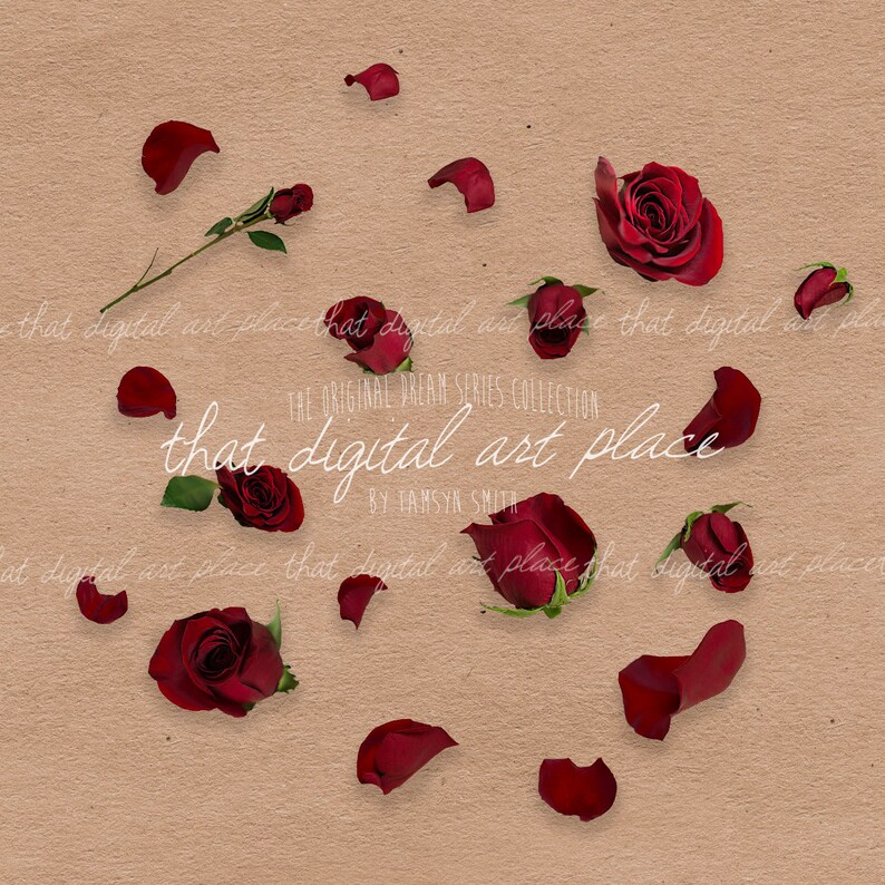 Deep Red Roses Pngs / Rose Overlay / Digital Roses - Etsy