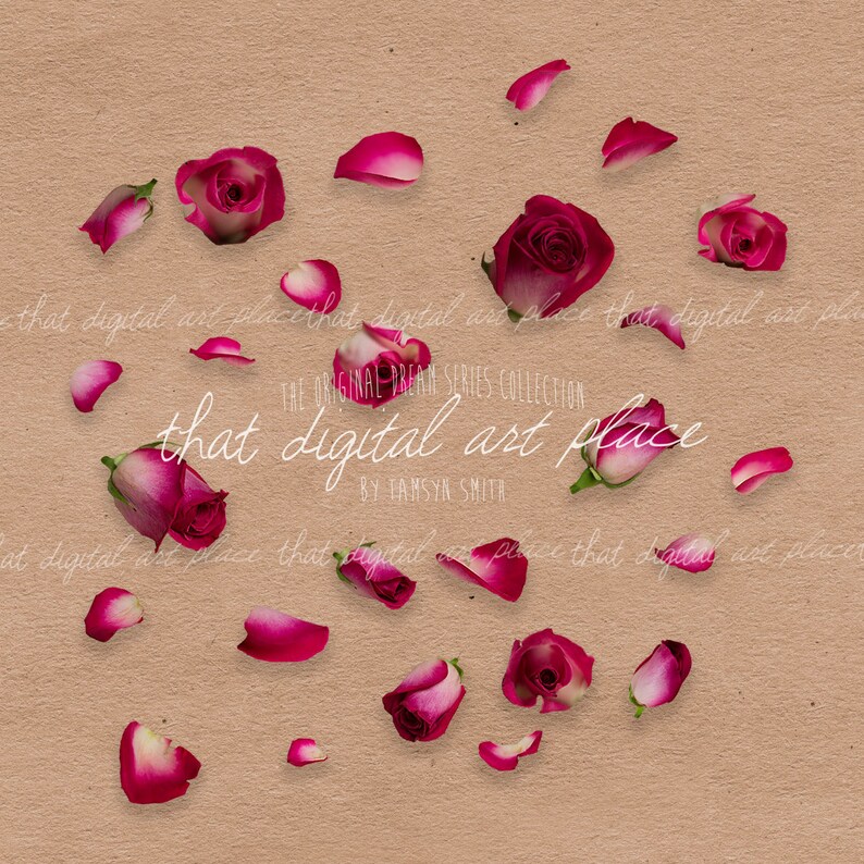 Deep Pink Rose Pngs / Rose Overlay / Digital Roses - Etsy