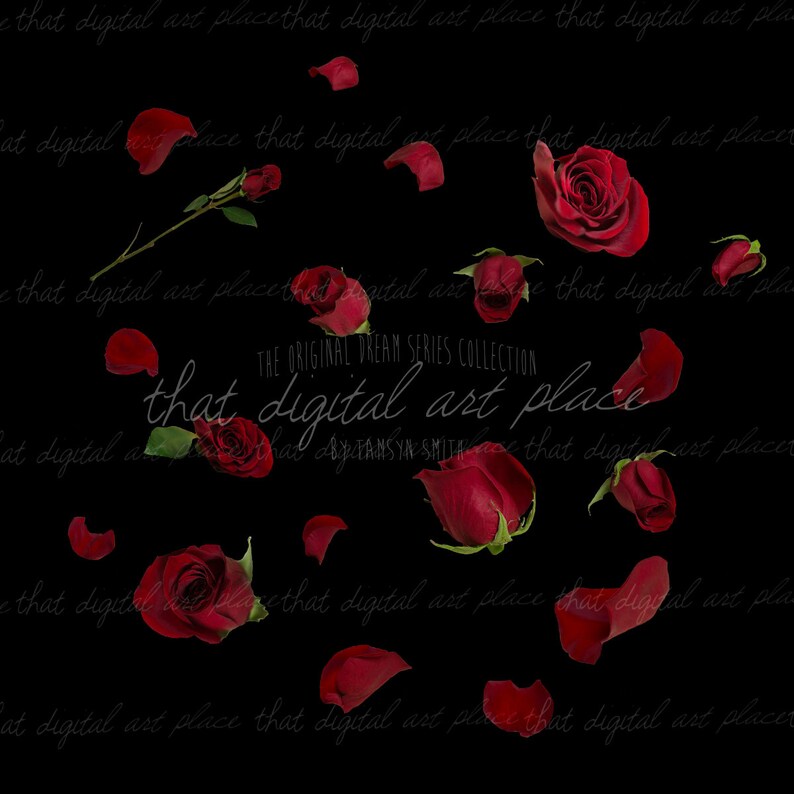 Deep Red Roses Pngs / Rose Overlay / Digital Roses - Etsy