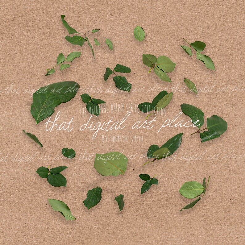Green Leaf Pngs / Rose Leaf Overlay / Summer Overlay/ Digital - Etsy