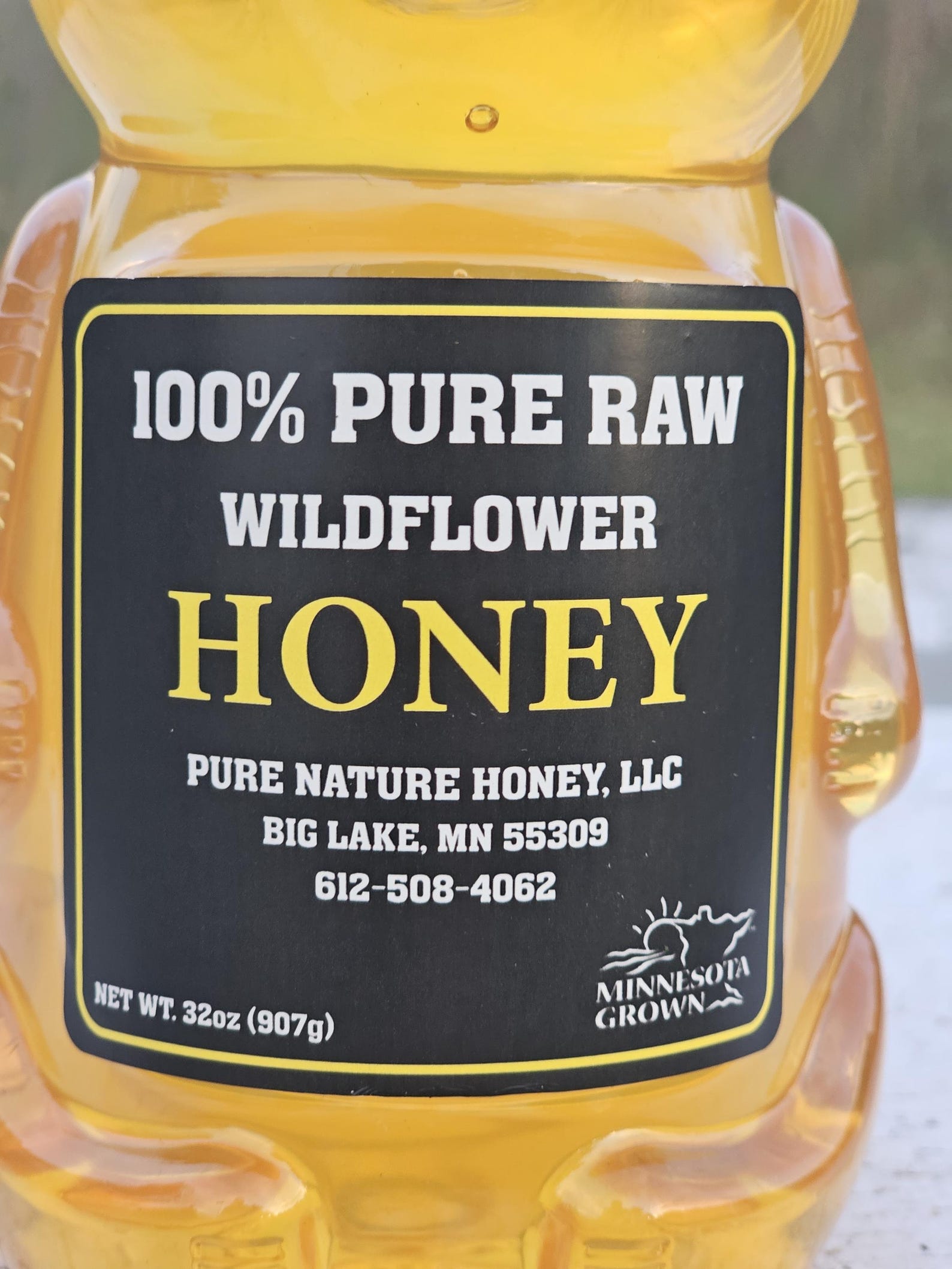 32oz (2lbs) Honey Bear! Pure, Raw, Minnesota Honey - Etsy