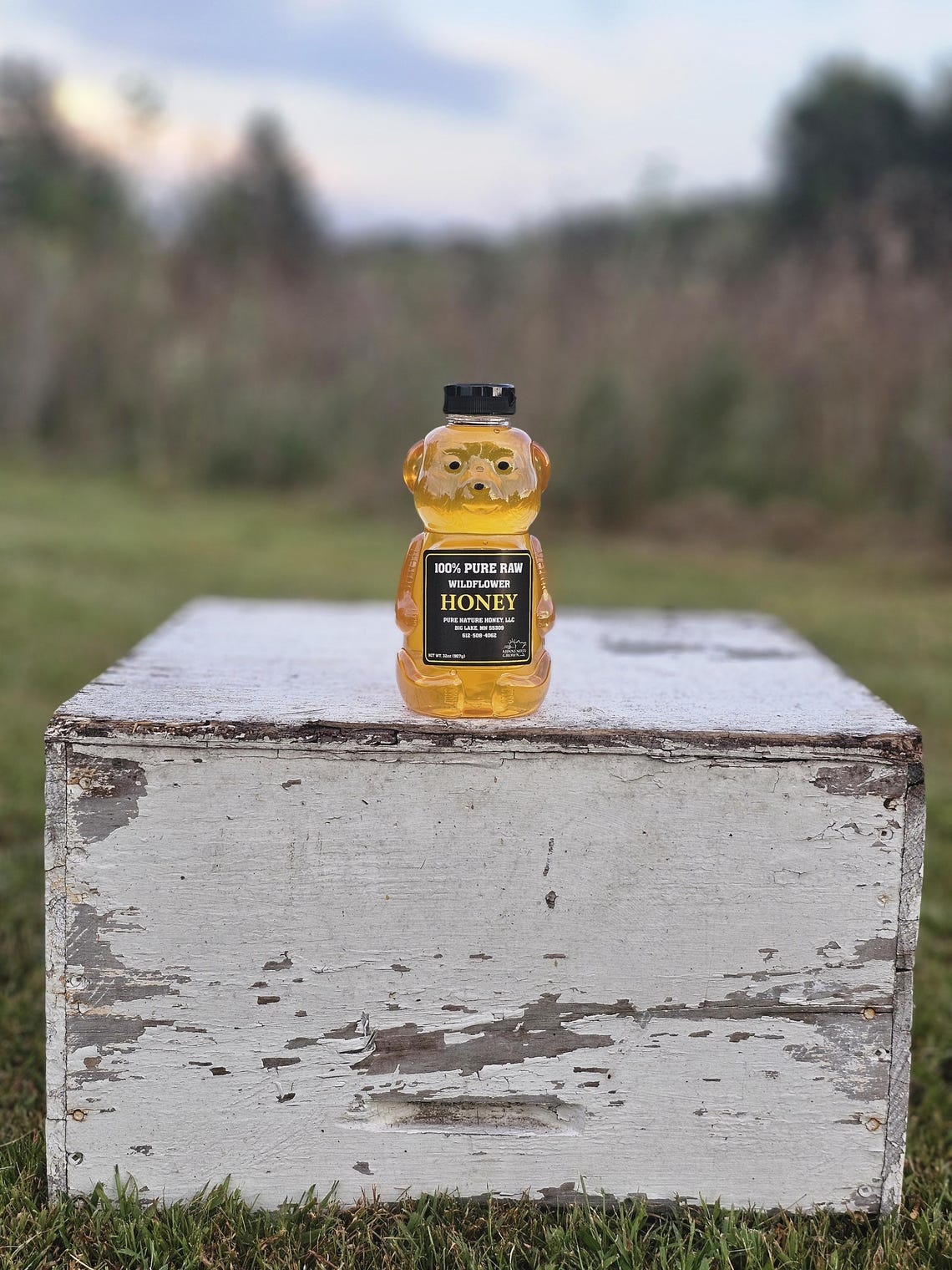 32oz (2lbs) Honey Bear! Pure, Raw, Minnesota Honey - Etsy