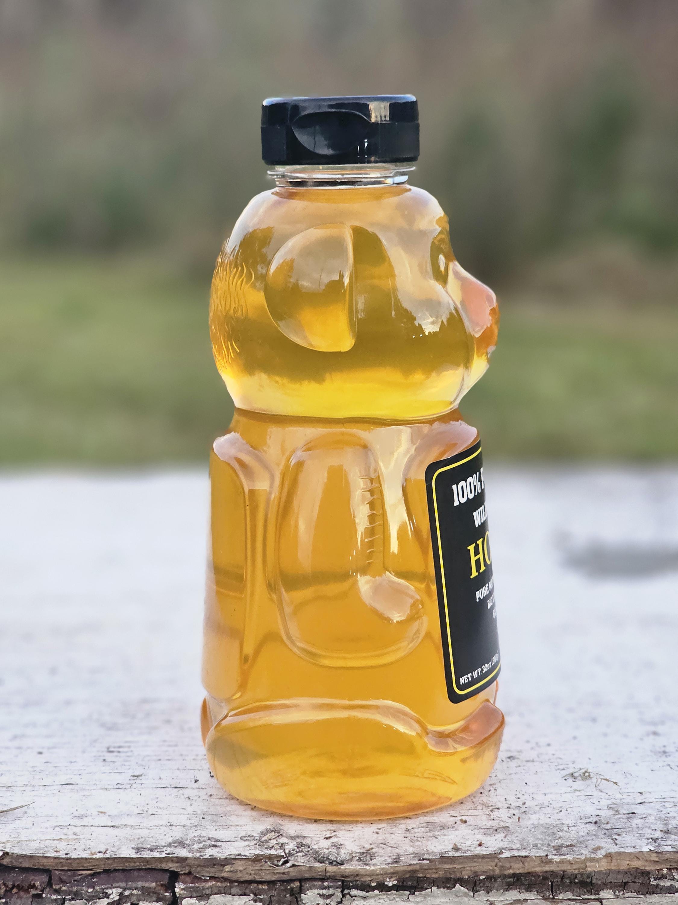 32oz (2lbs) Honey Bear! Pure, Raw, Minnesota Honey - Etsy