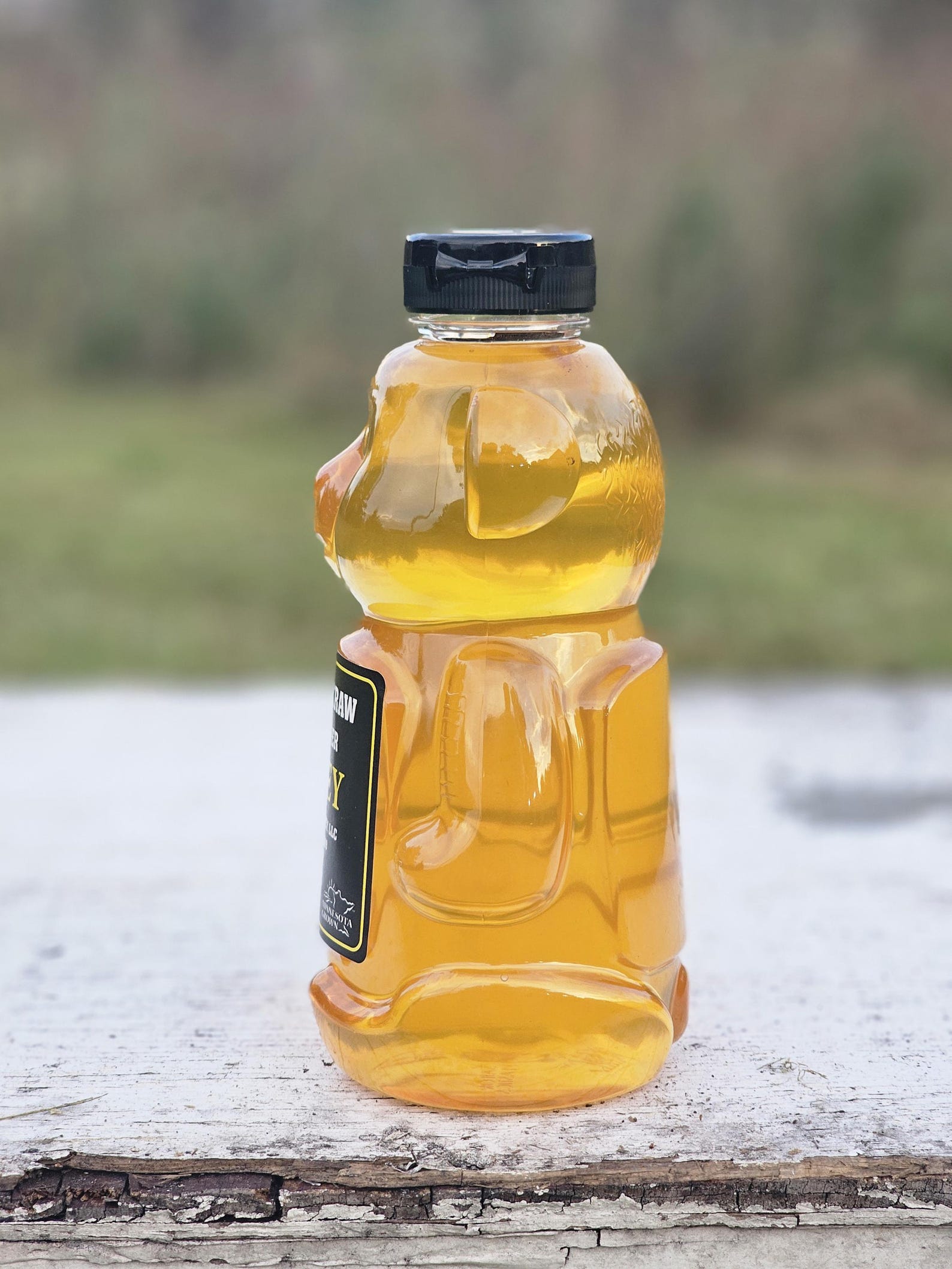 32oz (2lbs) Honey Bear! Pure, Raw, Minnesota Honey - Etsy