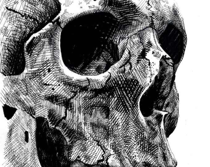 Skull Cross Hatching Ink Pen Drawing Physical Print - Etsy