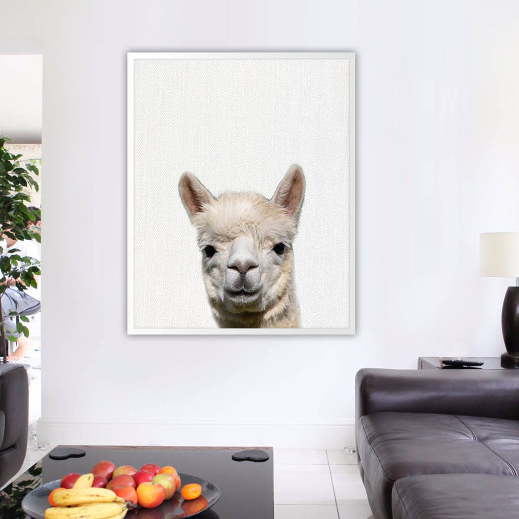 Alpaca Wall Art / Alpaca Home Decor / Alpaca Print / Alpaca / - Etsy
