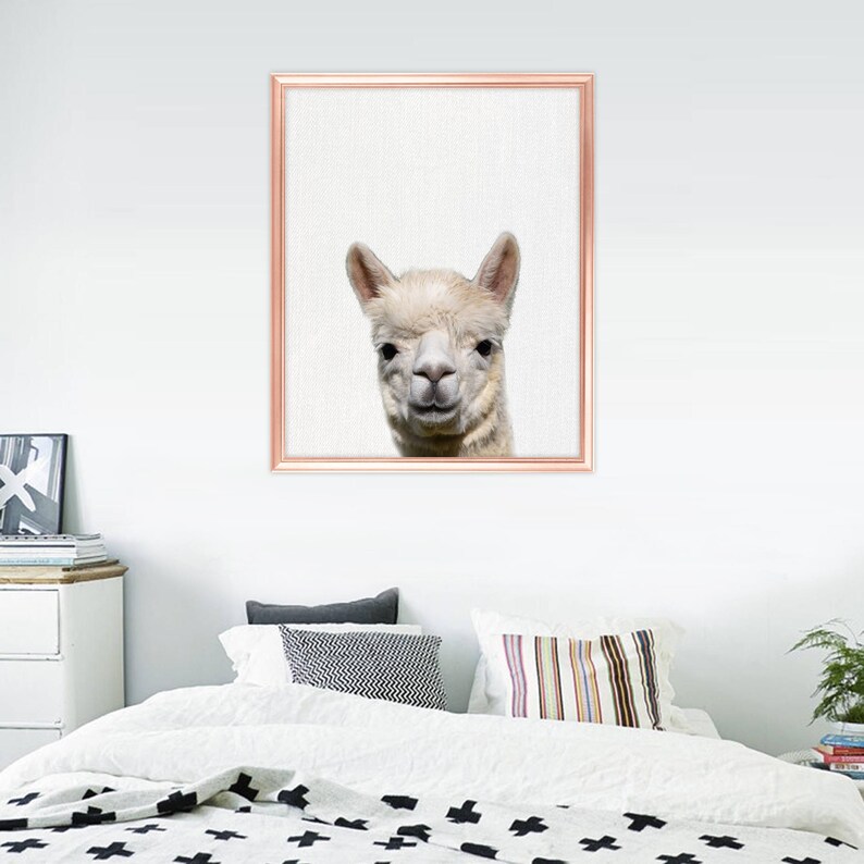 Alpaca Wall Art / Alpaca Home Decor / Alpaca Print / Alpaca / - Etsy