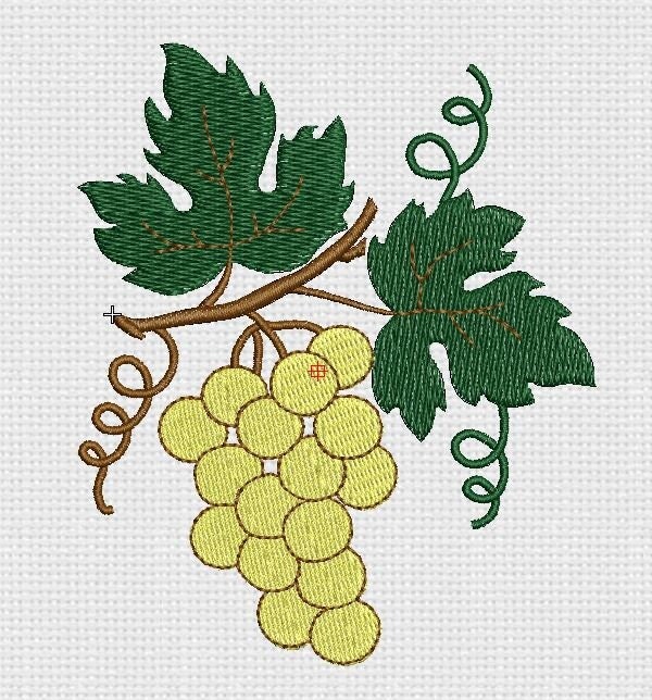 Grape Embroidery Designs - Etsy