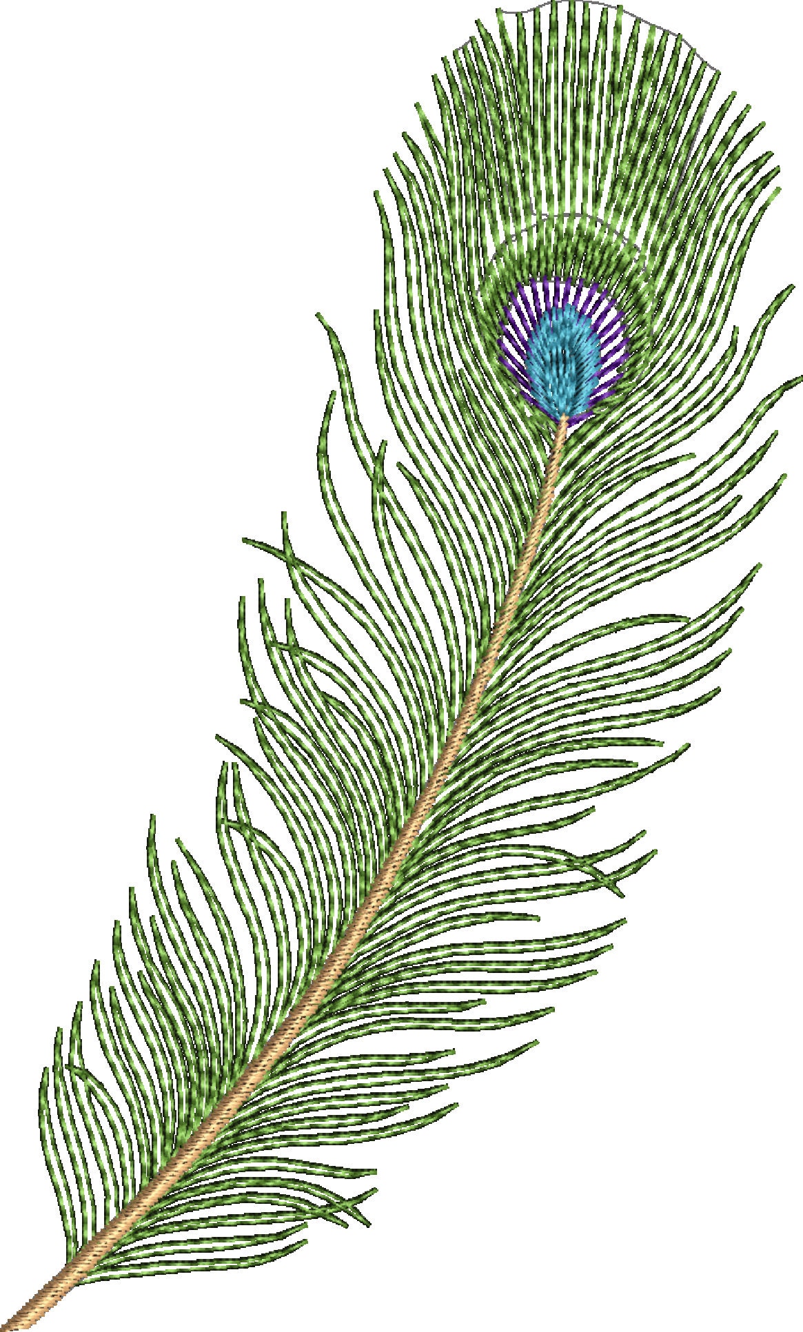 Peacock Feather Design - Etsy