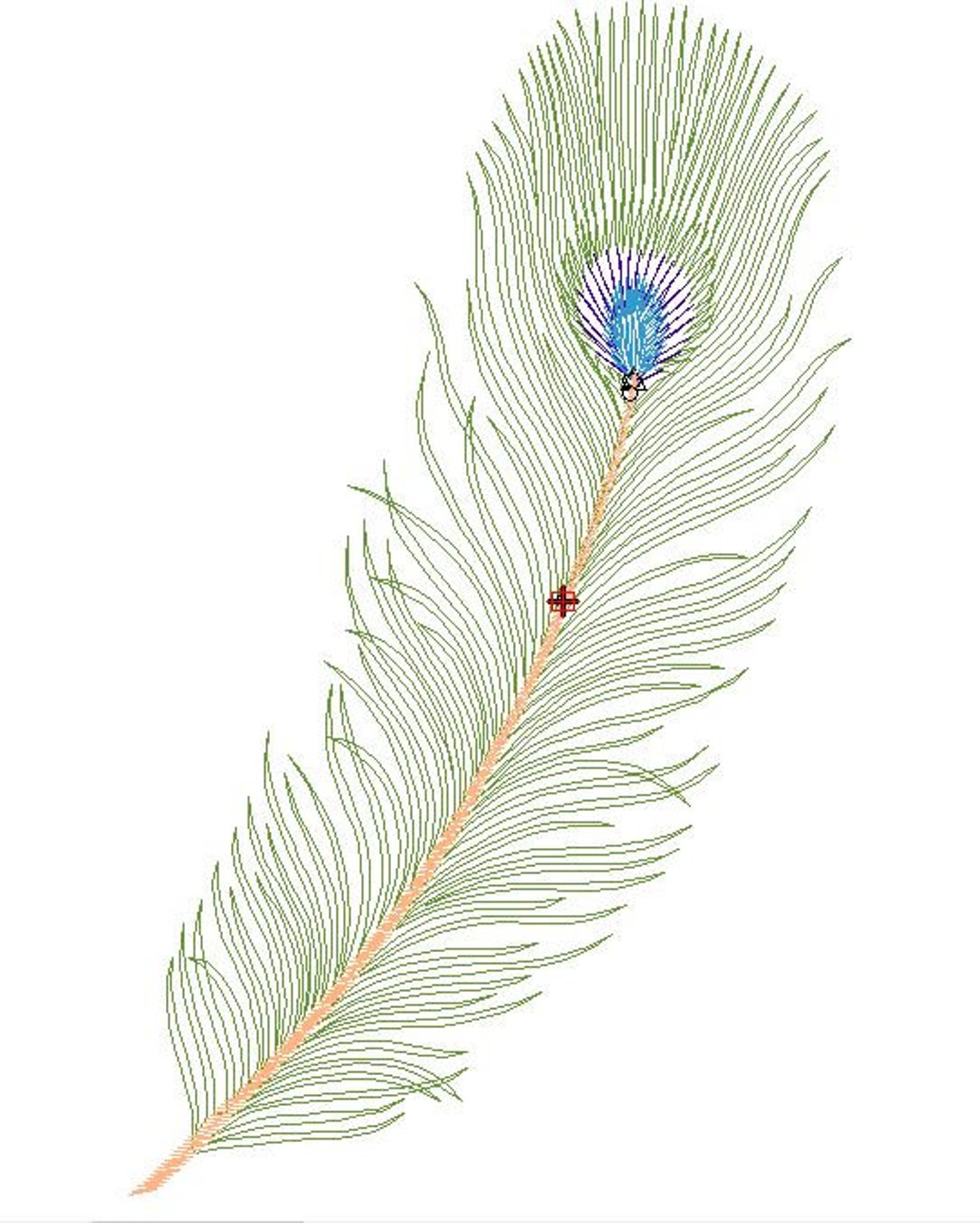 Peacock Feather Design - Etsy