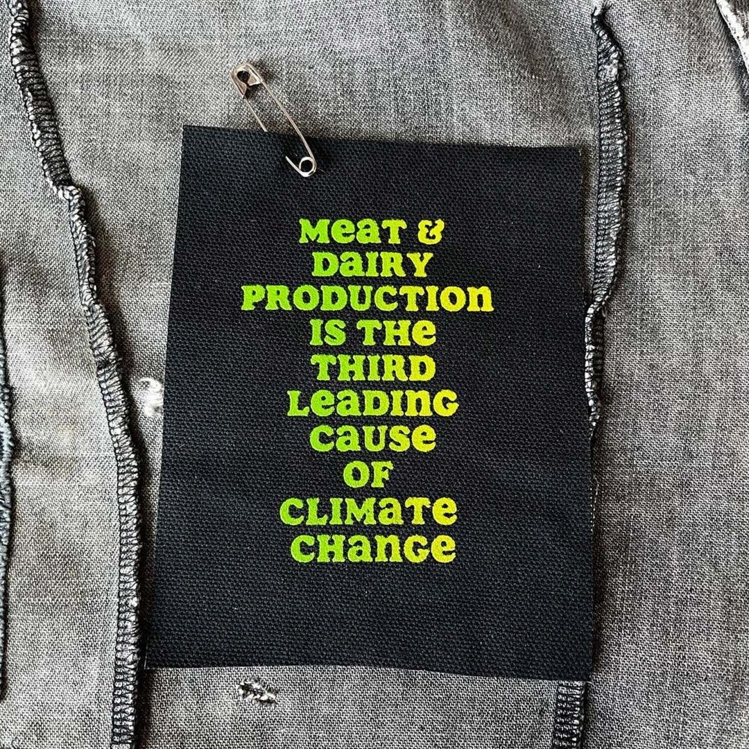 Peaceful Protest Patch: Spread Humanity and Peace Through Recycling - Etsy
