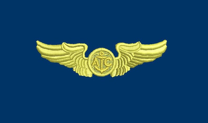 AC Pilot Wings Digitized Filled Machine Embroidery Design Digital ...