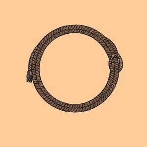 Lasso Digitized Filled Machine Embroidery Design Digital Download - Etsy