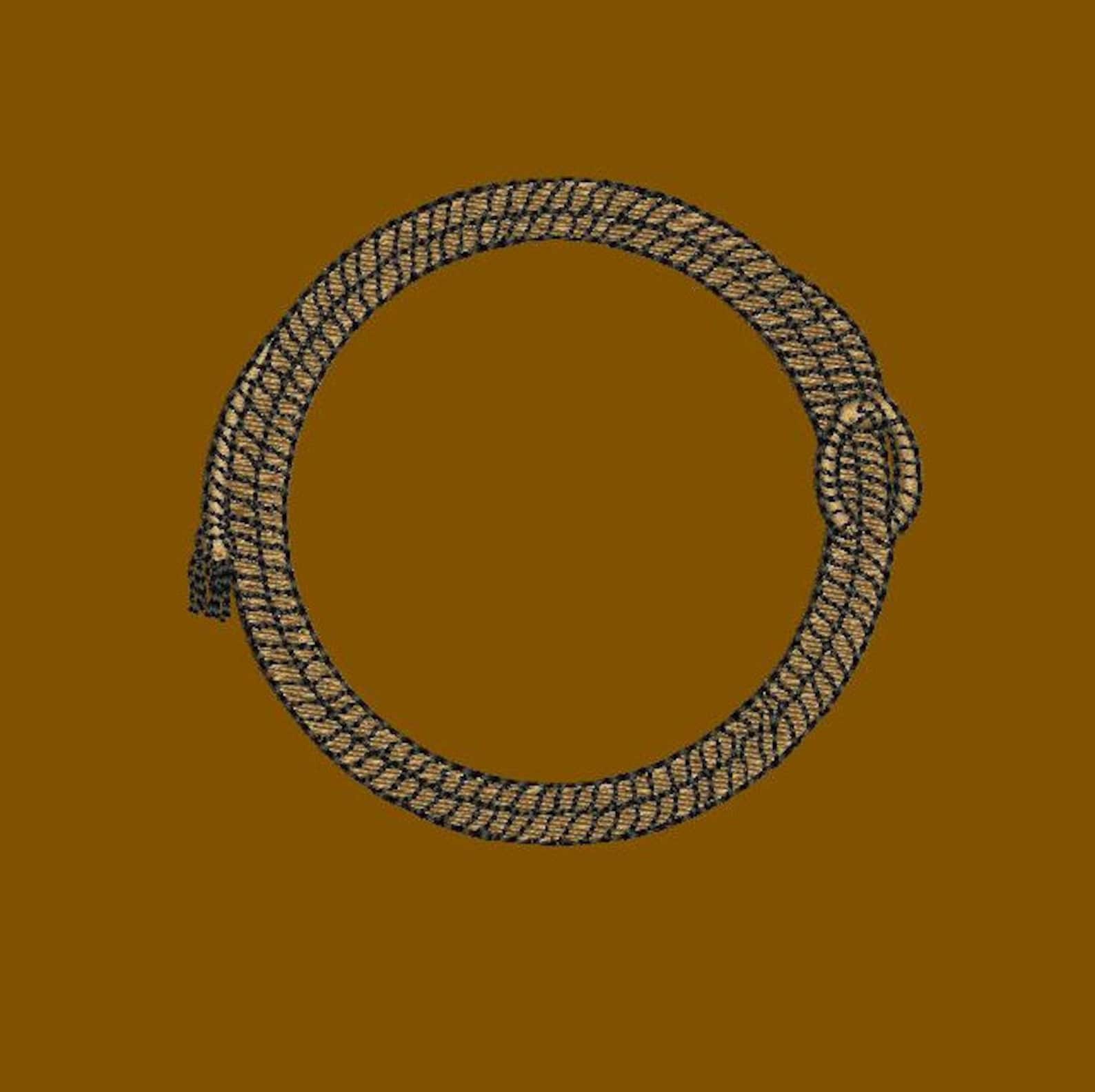 Lasso Digitized Filled Machine Embroidery Design Digital Download - Etsy