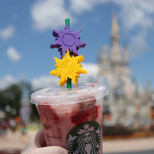 Magical Straw Sun Rapunzel Straw Buddy Straw Charm Straw - Etsy