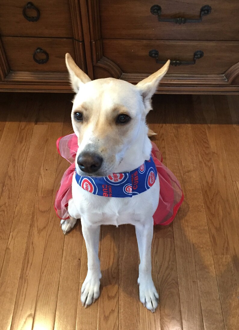 Chicago Cubs Dog Dress, Dog Tutu Dress, Cubs Tulle Dog Dress, Chicago ...