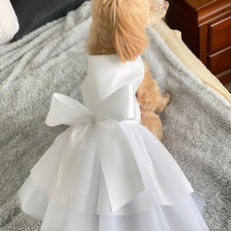 Wedding Dog Dress - Etsy