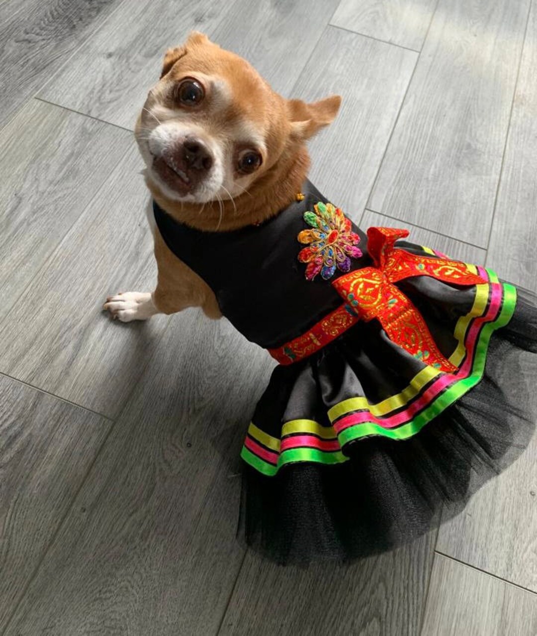 Colorful Mexican Satin Dog Dress Cinco De Mayo Dog Dress, Dia De Los ...