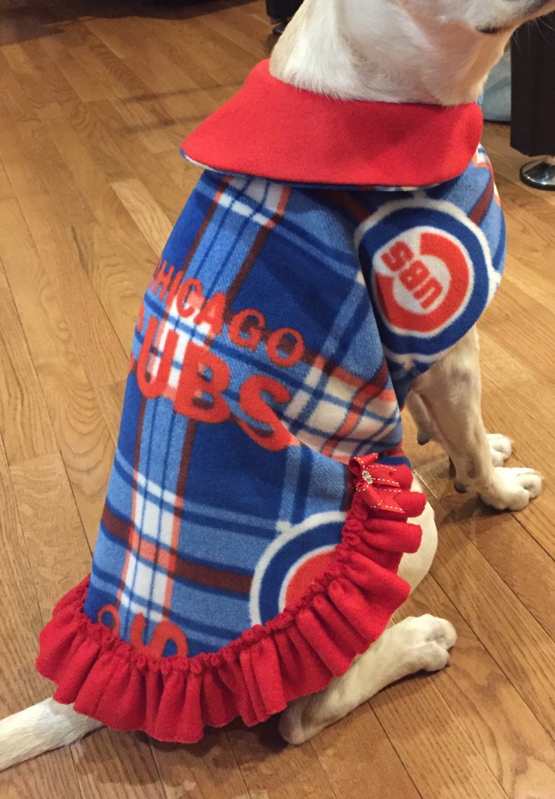 Chicago Cubs Dog Dress Vest Pet Girly Dog Outfit 2 Layers of - Etsy